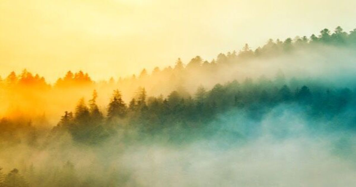 Finding opportunities in a consolidating market | Insights | Eric ...