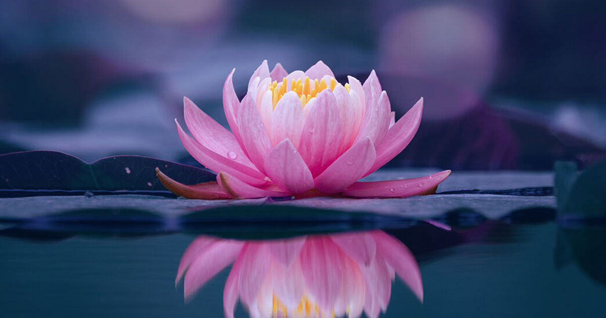 Eric Sturdza Investments launches its Strategic Vietnam Prosperity Fund ...