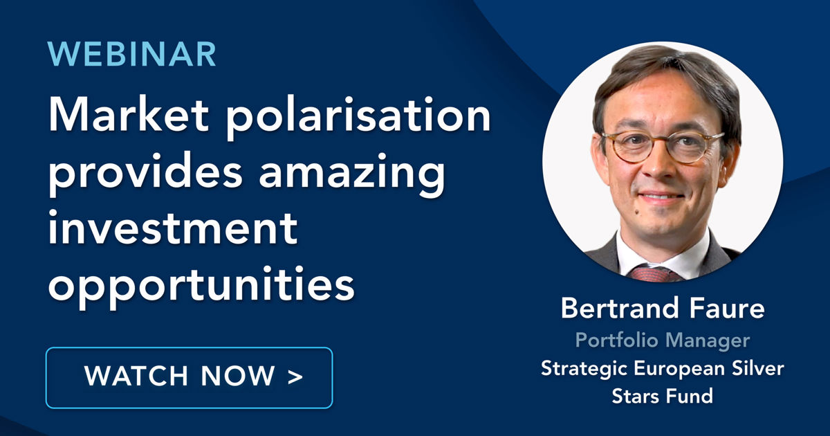 Market polarisation provides amazing investment opportunities ...