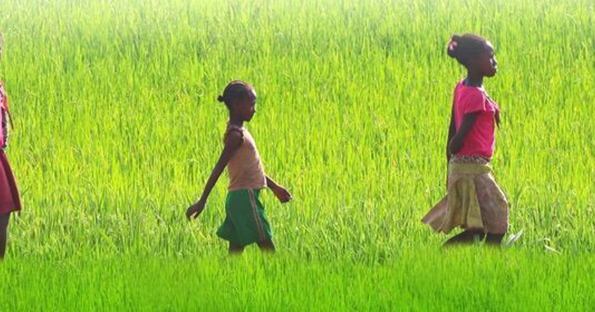 Eric Sturdza Investments to plant over 50,000 trees | Insights | Eric ...