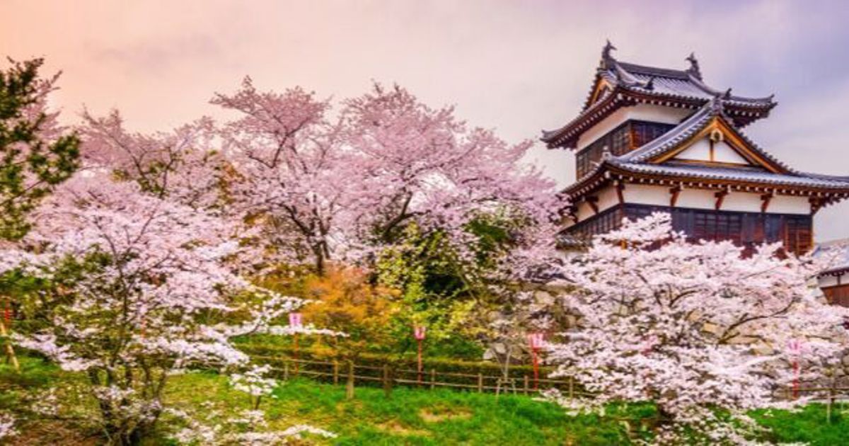 A record-breaking December… what’s to follow? | Insights | Eric Sturdza ...